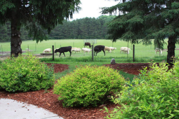 Facilities | Rising Sun Farm